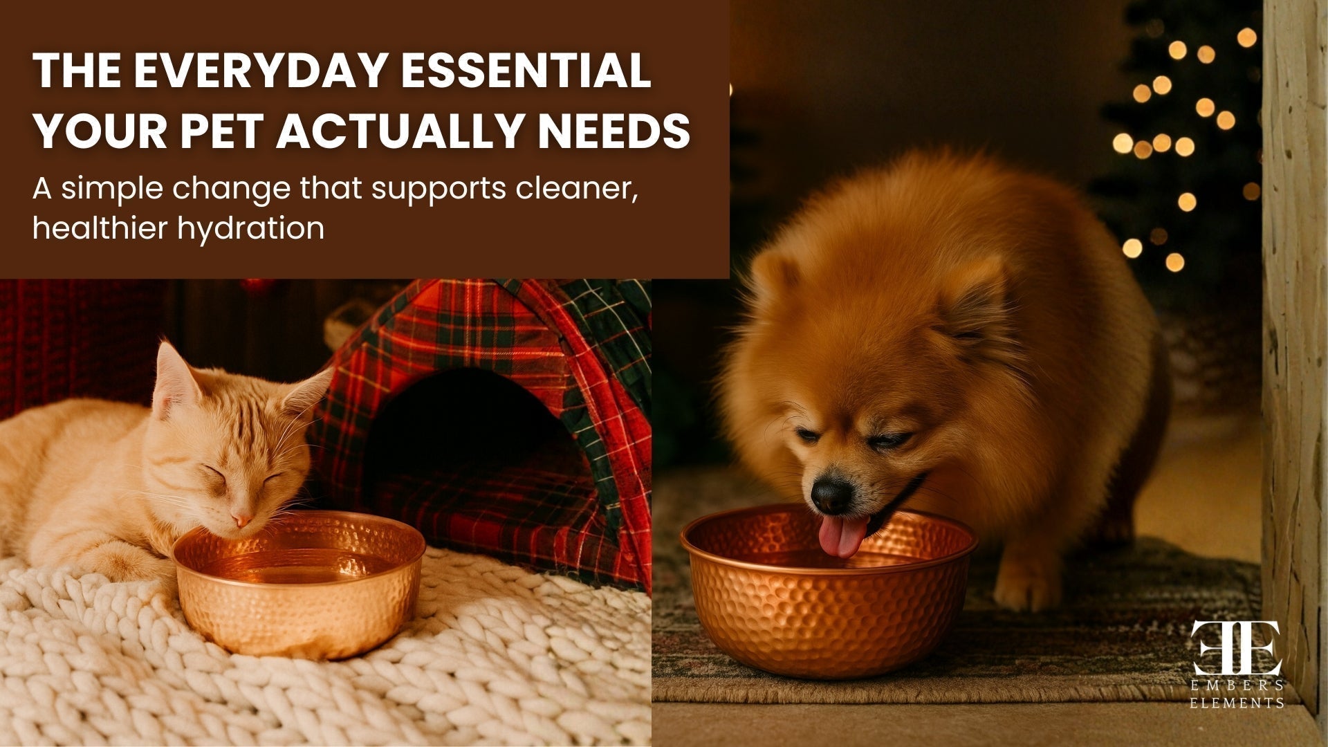 Why Copper Pet Bowls Are a Smart Choice for Your Dog or Cat
