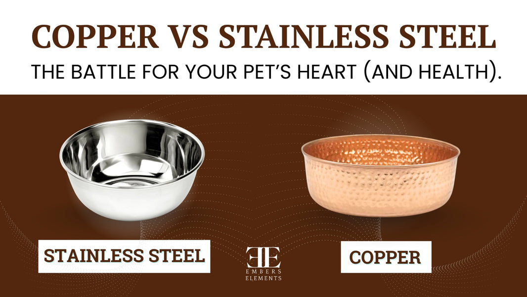 Copper vs Stainless Steel Pet Bowls: The Battle for Your Pet’s Heart
